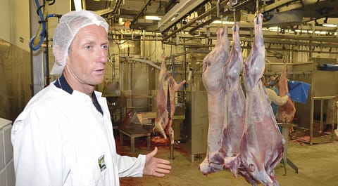 Furuseth oppgraderer for 36 millioner kroner | Kjøtt- og ...